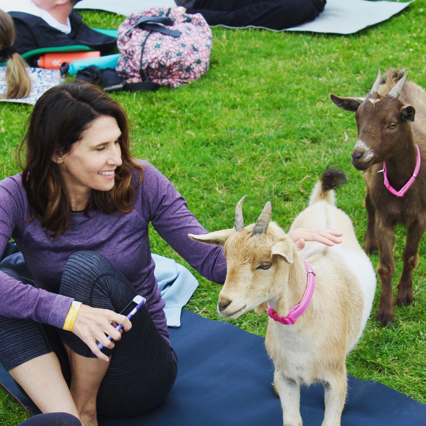 Goat Yoga Is Actually a Thing (I Did It) - Fitness Test Drive
